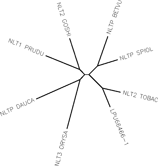 hk9