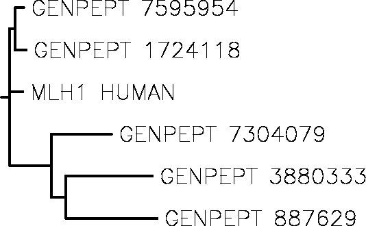 Biology WorkBench 3.2 - DRAWGRAM