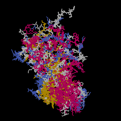 Untitled Document [life.nthu.edu.tw]